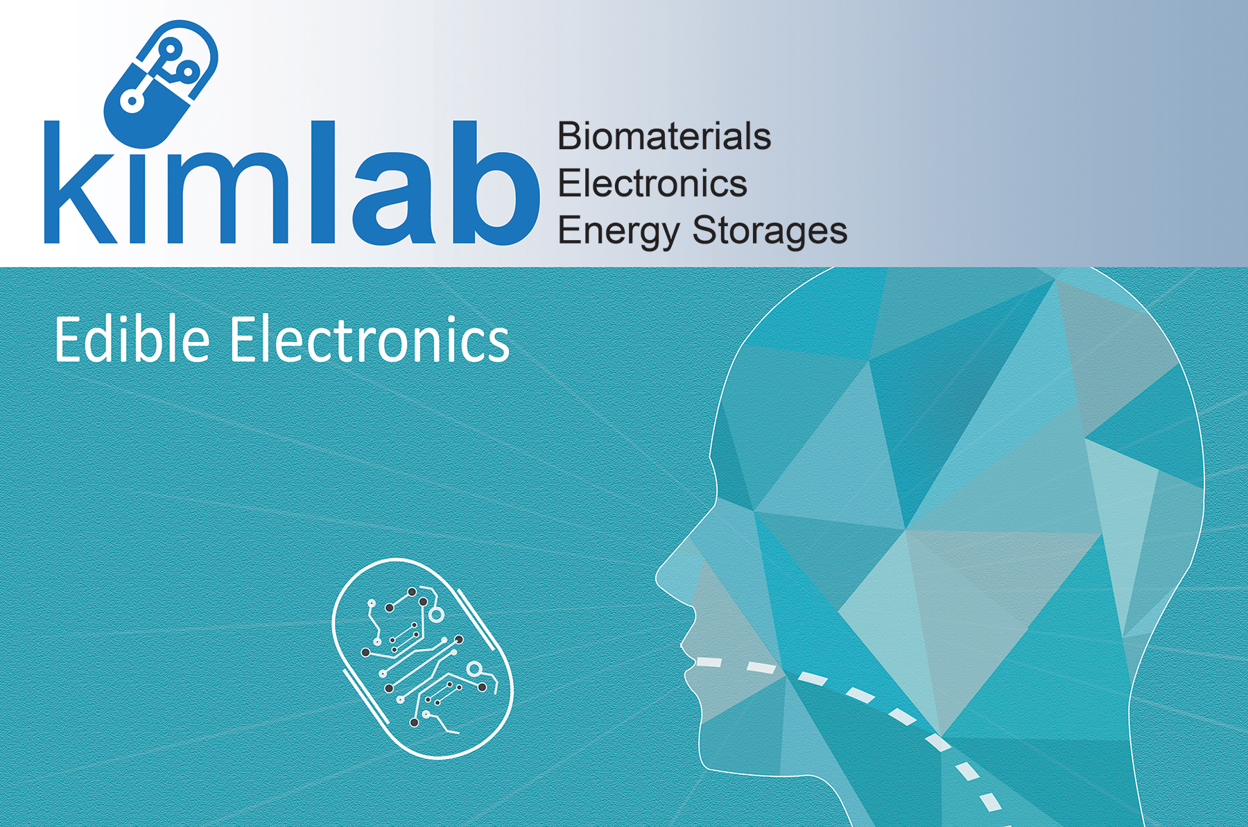 kimlab@UNH « Biomaterials+Electronics+EnergyStorages
